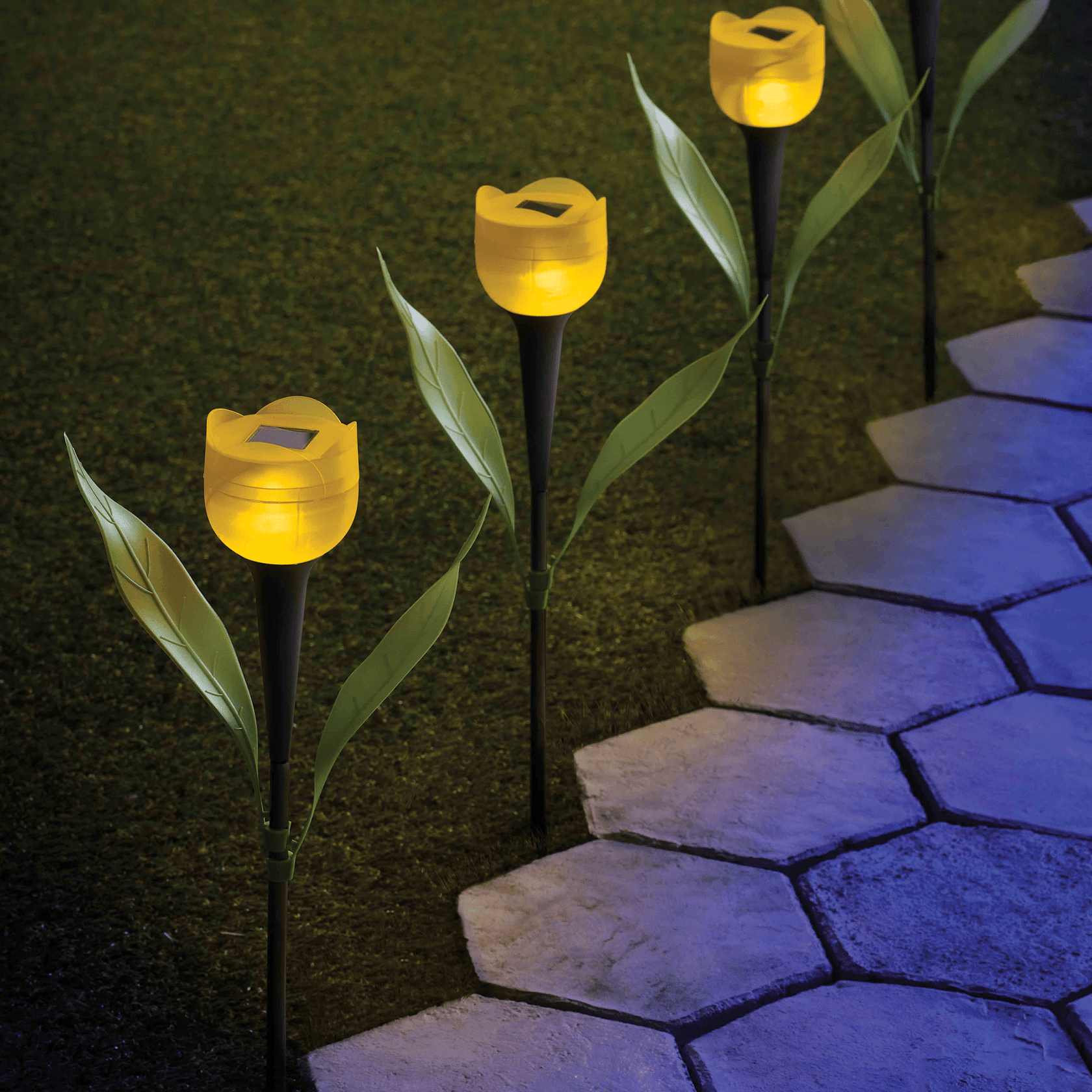 Tulipan Solar – Betterware