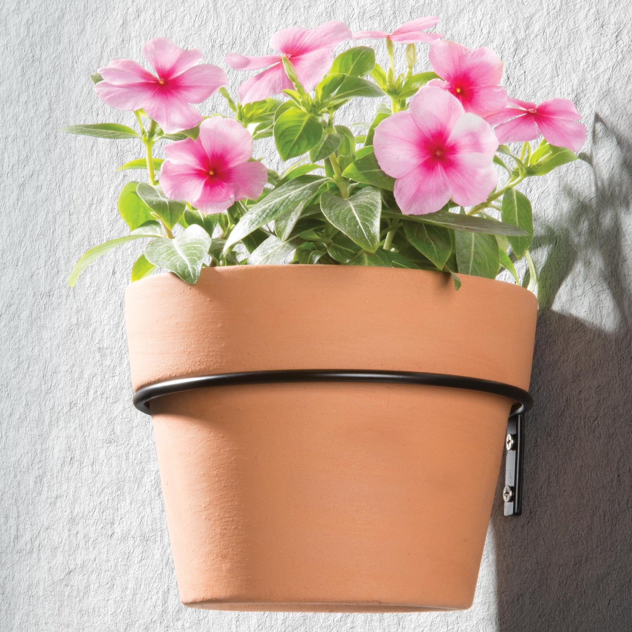 Porta Maceta Black – Betterware