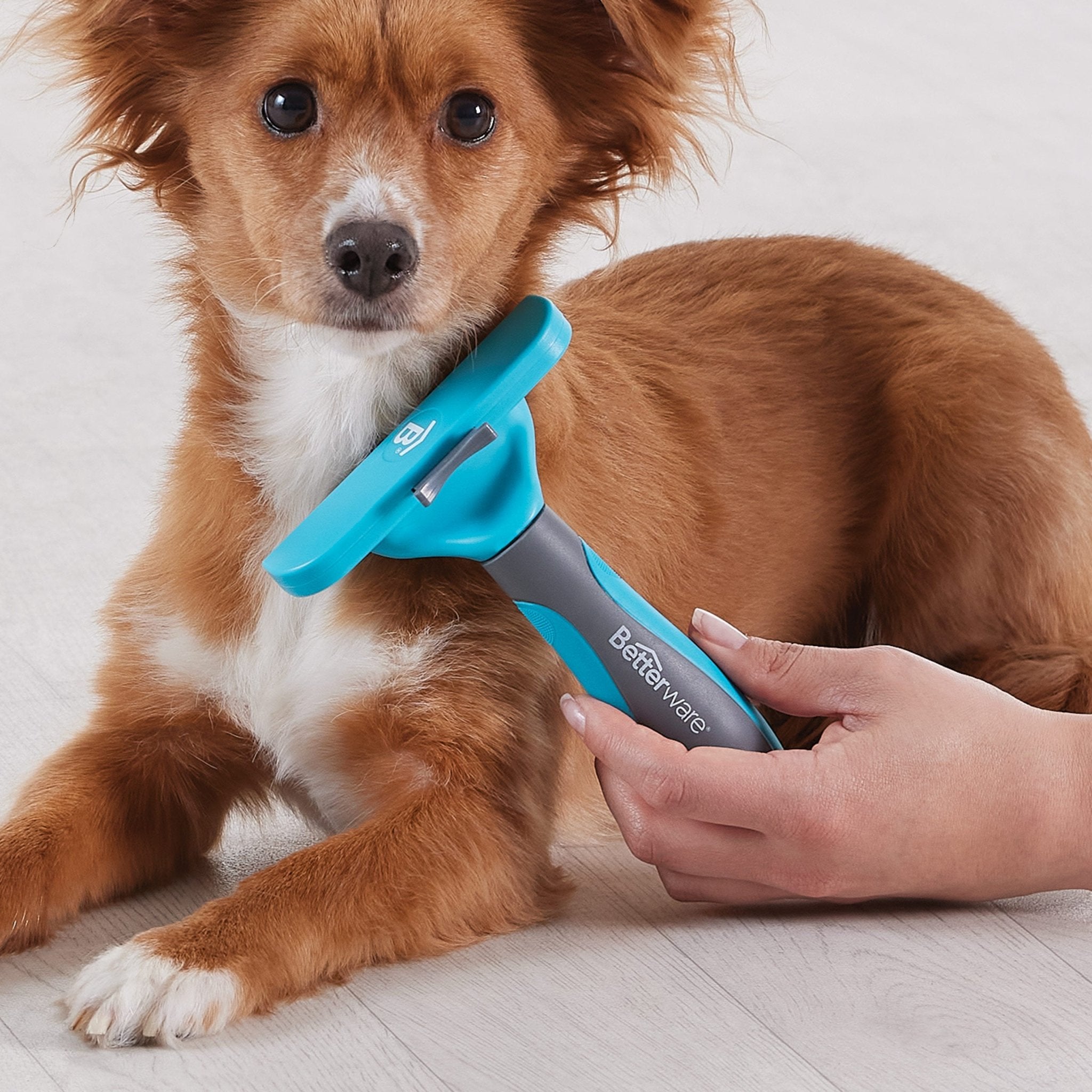 Cepillo Easy Klin – Betterware