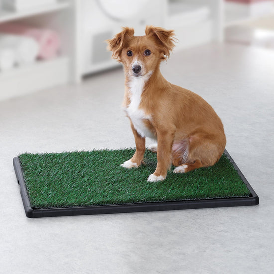 Estación Jardín Pets – Betterware