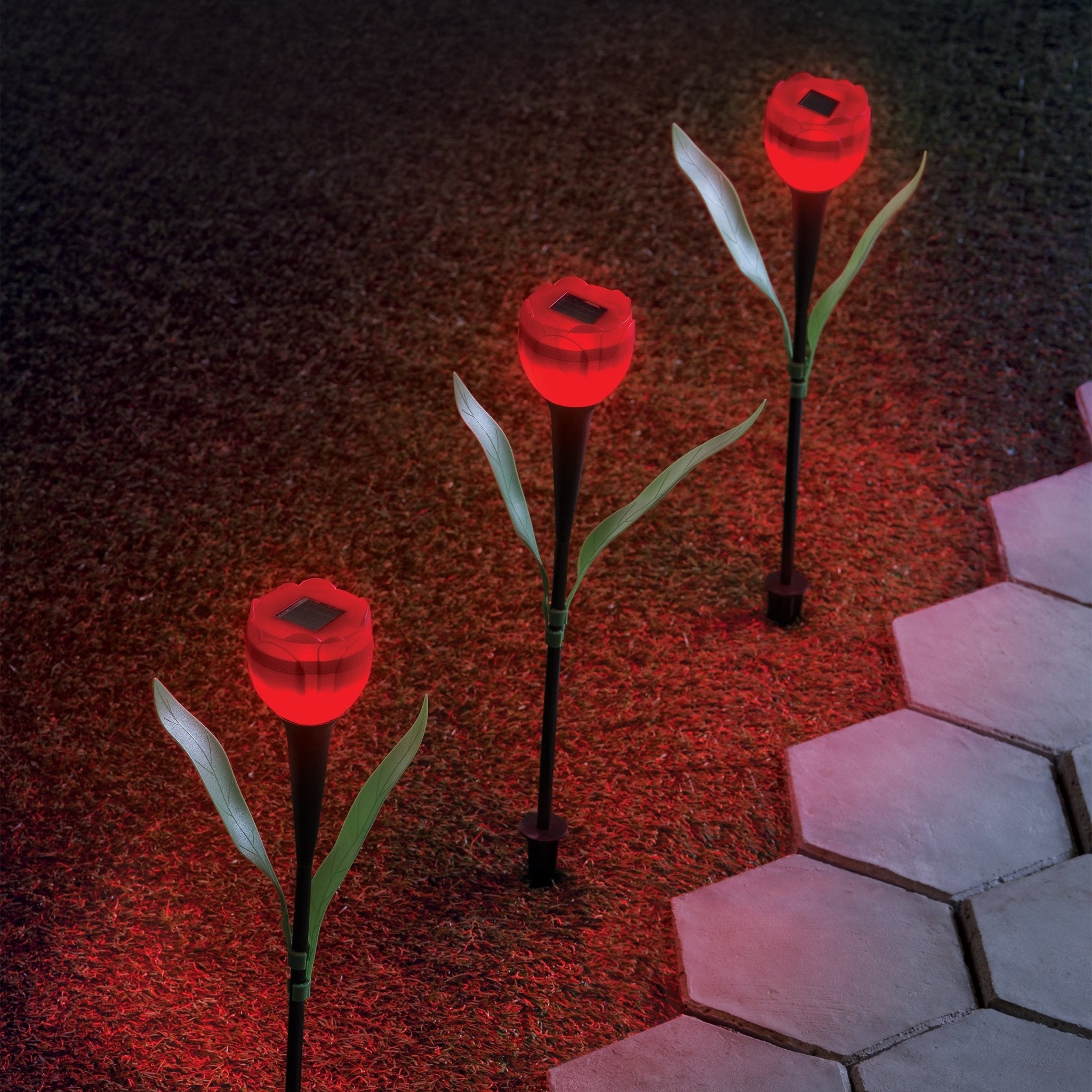 Rosa Solar – Betterware