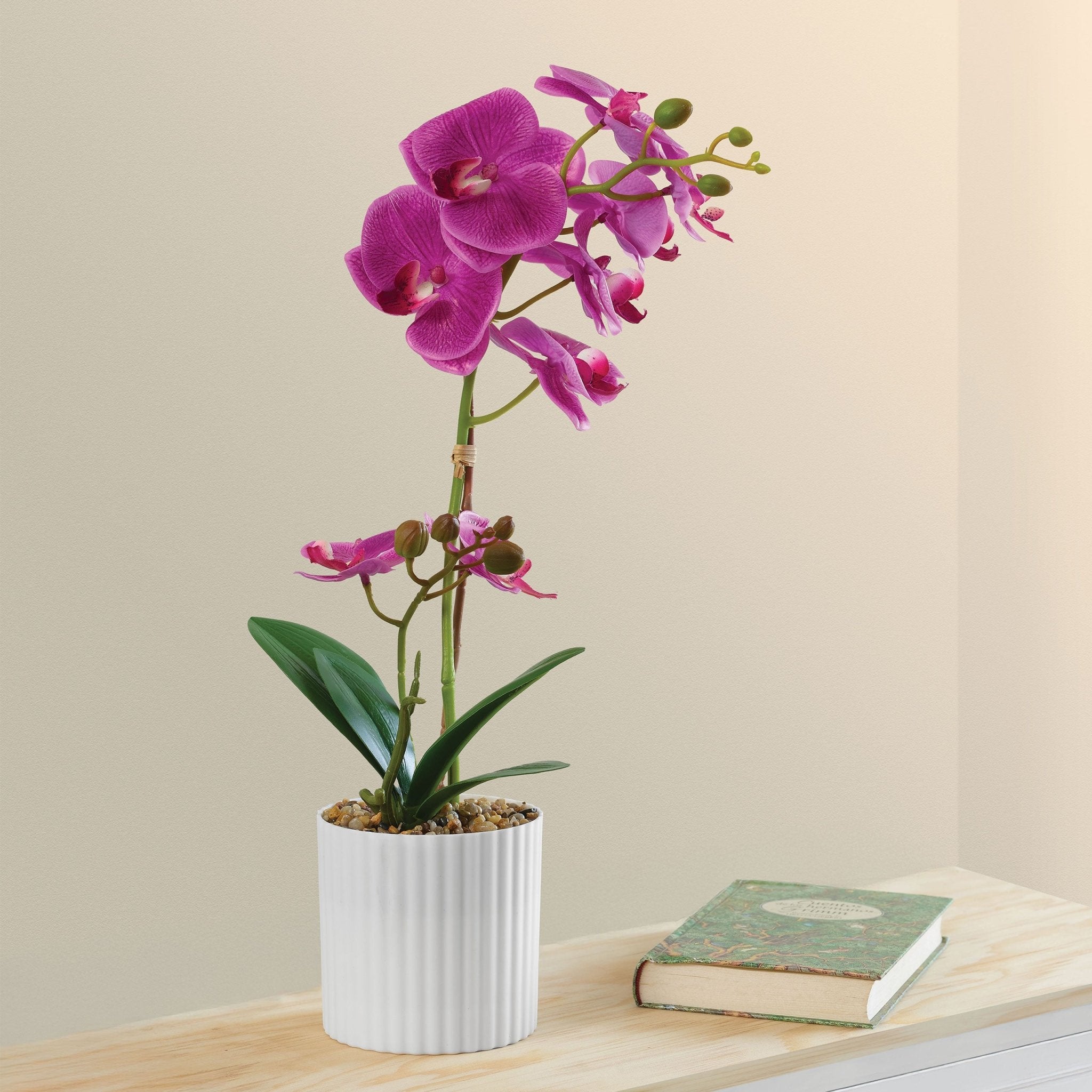 Deco Orquídea Purpura – Betterware