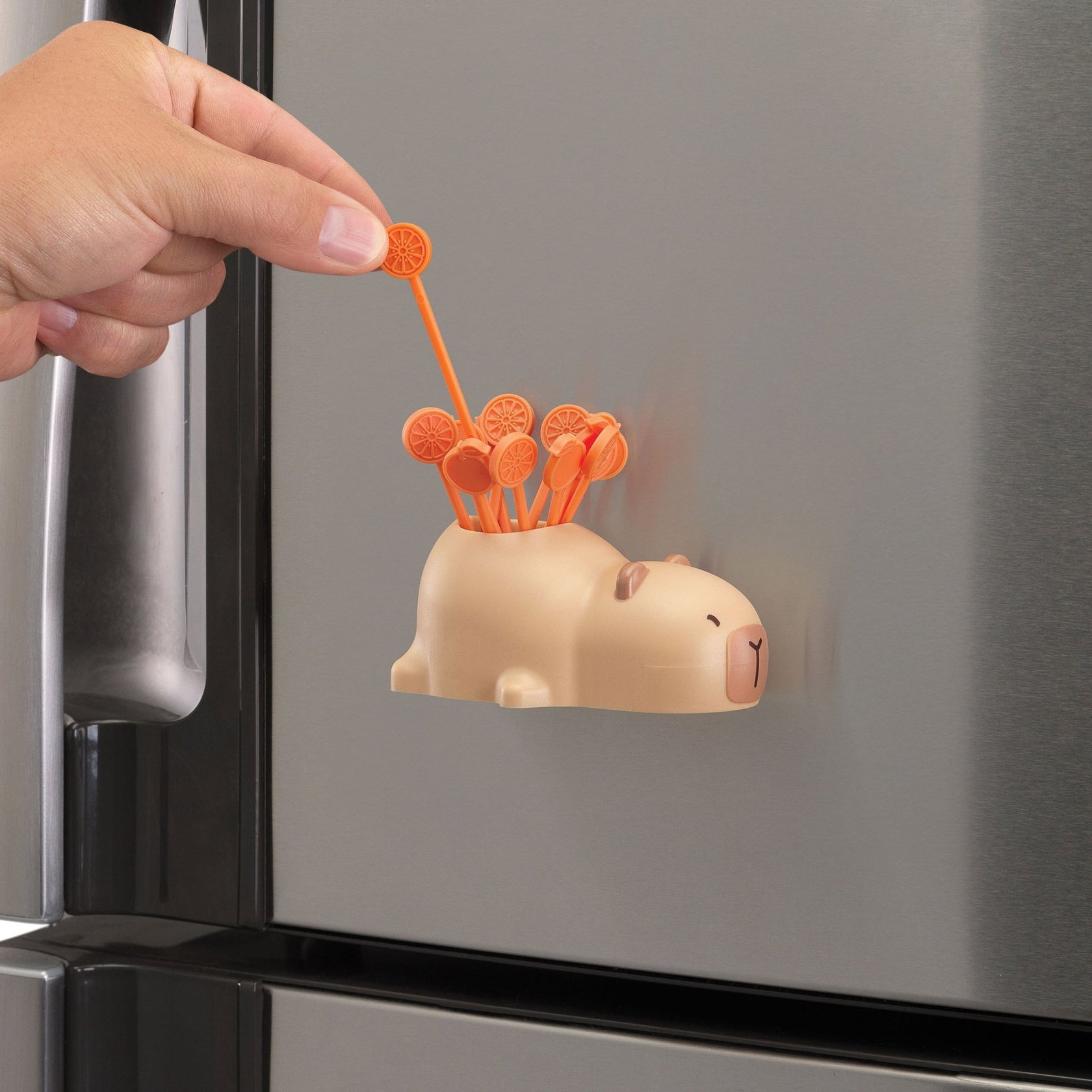 Magneti Pinchos Capibara – Betterware